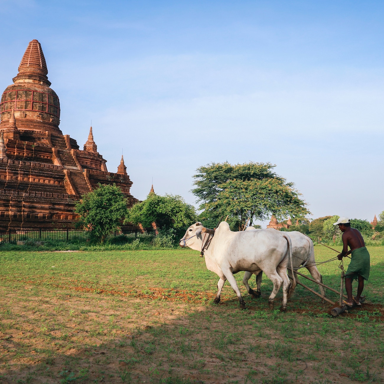 Bagan, el lago Inle y sus playas doradas - Noland